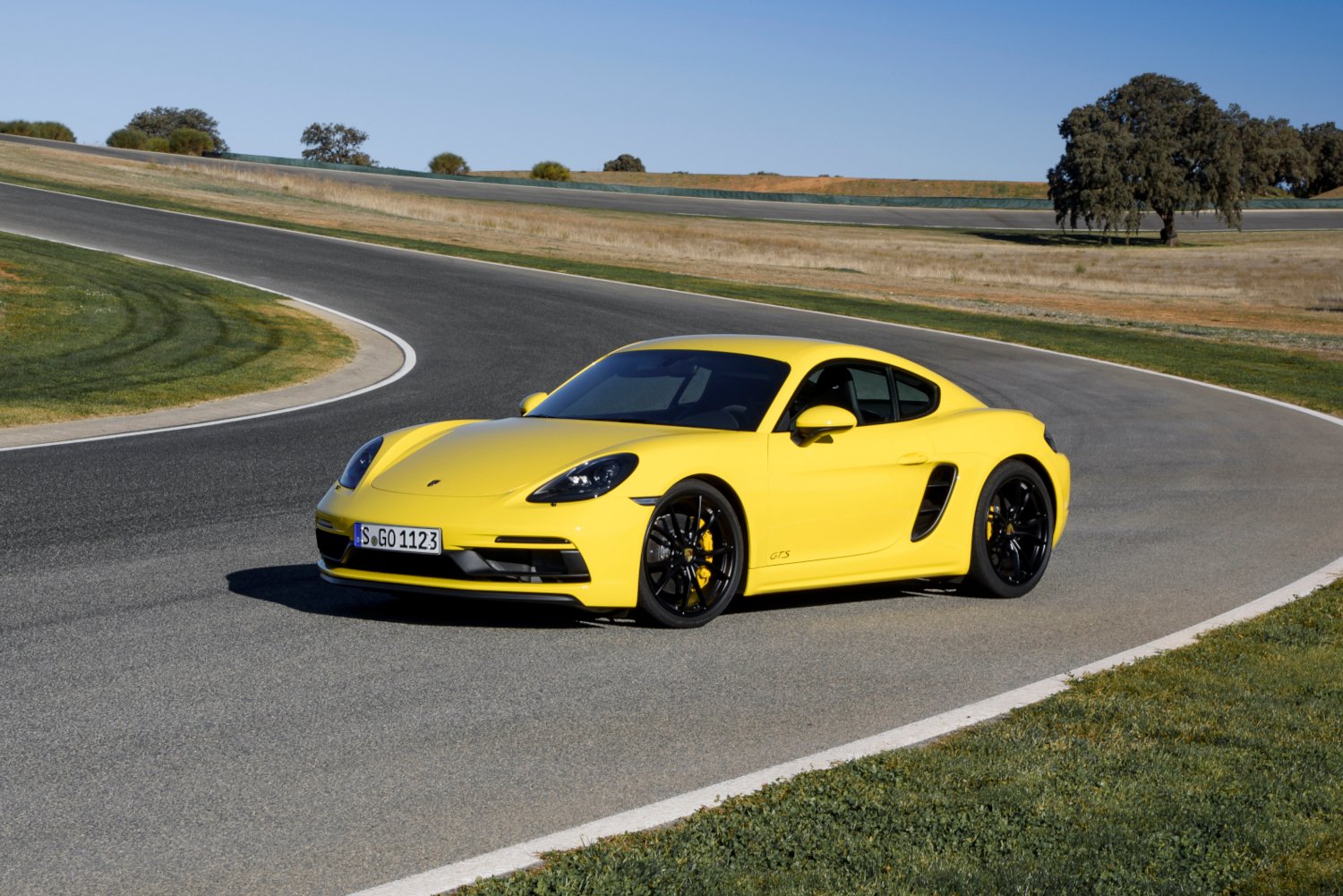 Racing Yellow 2018 Porsche 718 Cayman GTS | Car Dreams