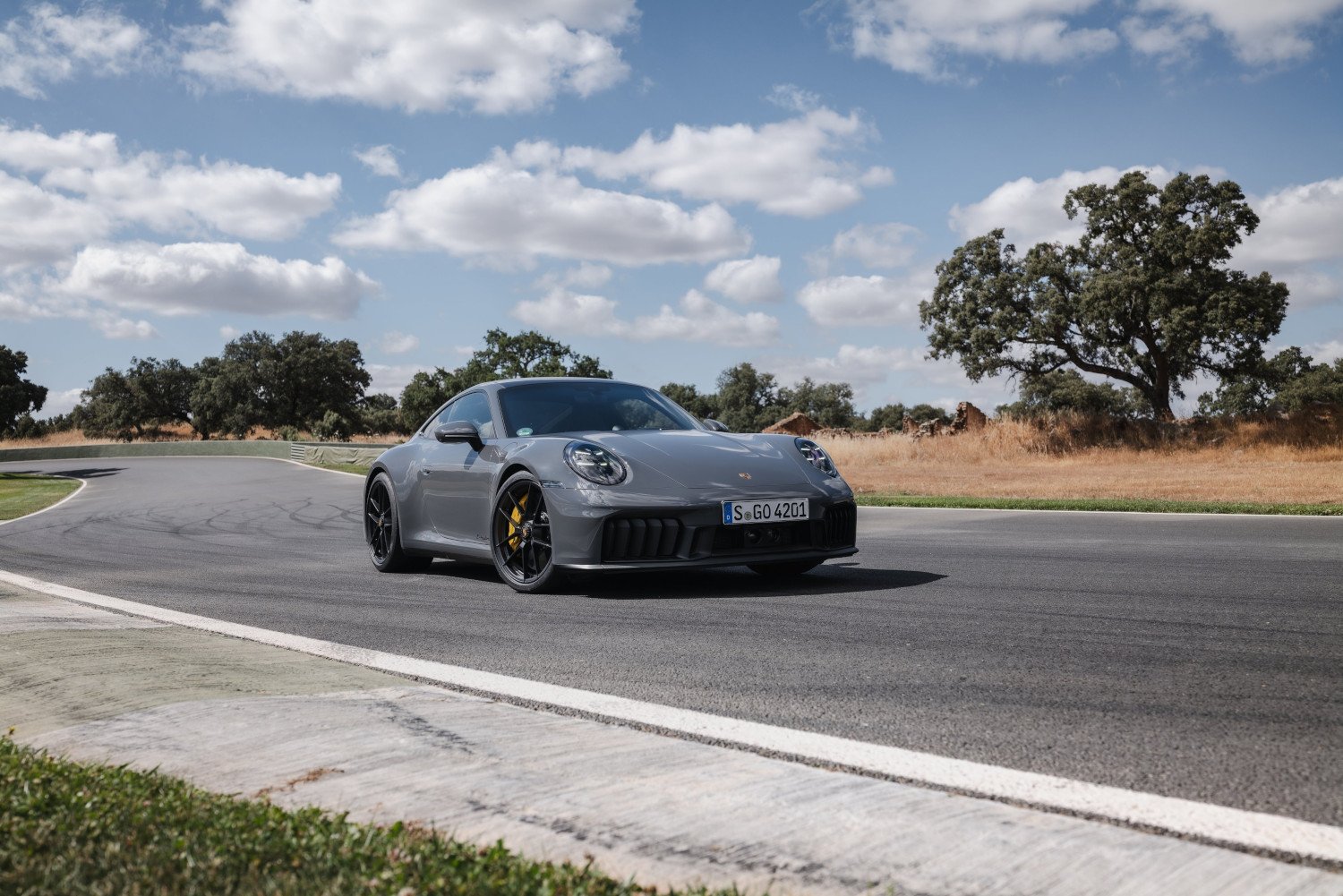 Slate Grey Neo 2025 Porsche 911 Carrera GTS | Car Dreams